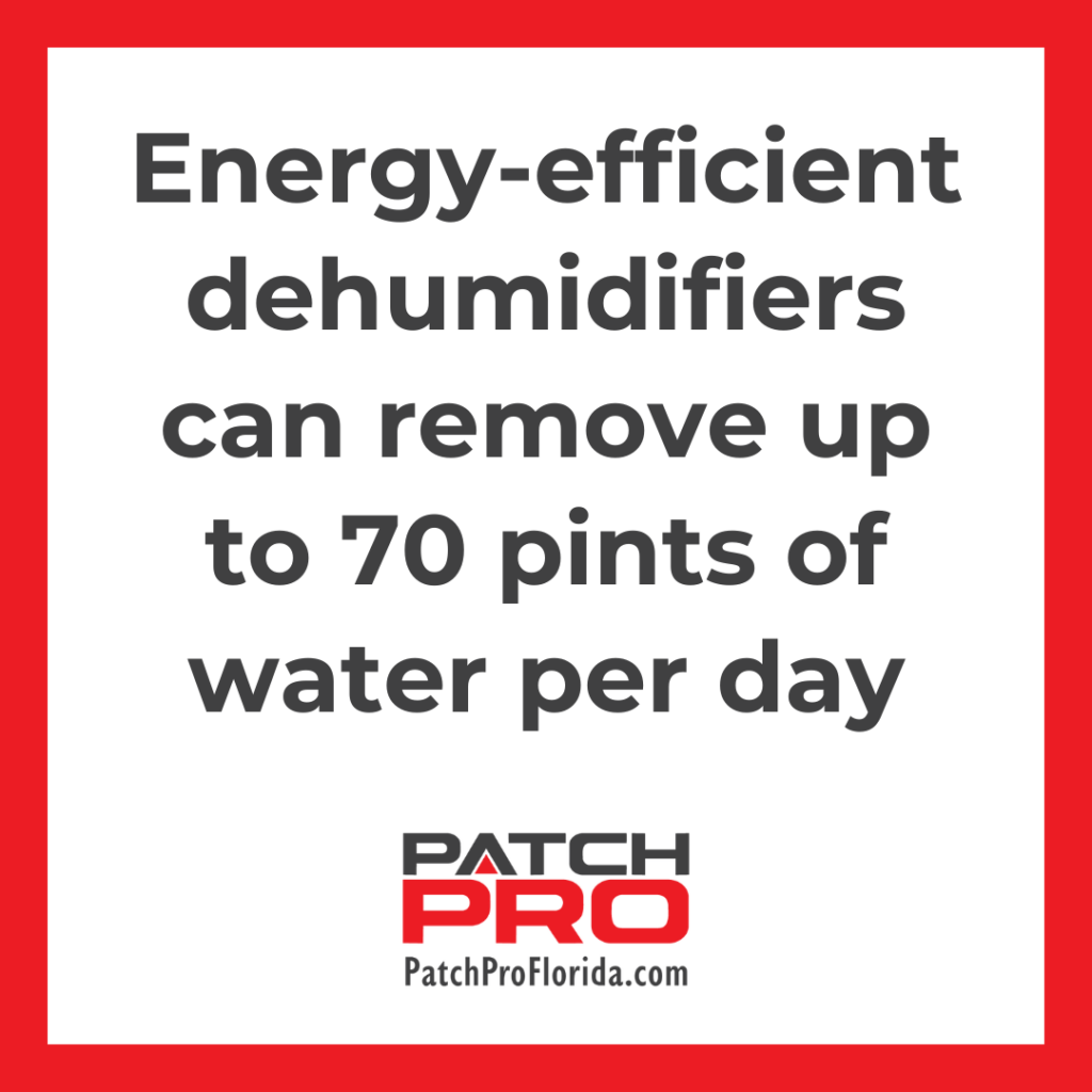 Manage Humidity and Mold with These Florida Solutions