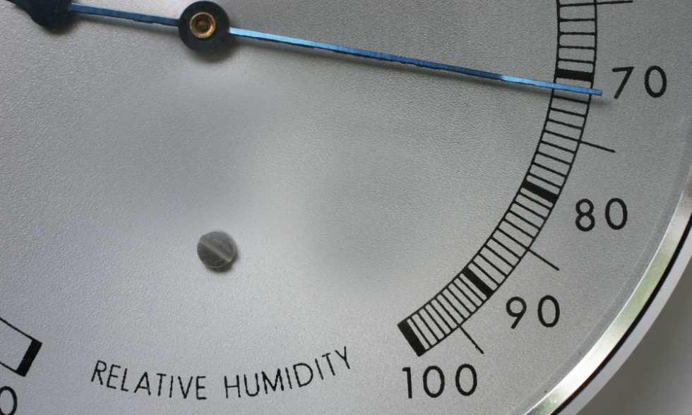 Manage Humidity and Mold with These Florida Solutions